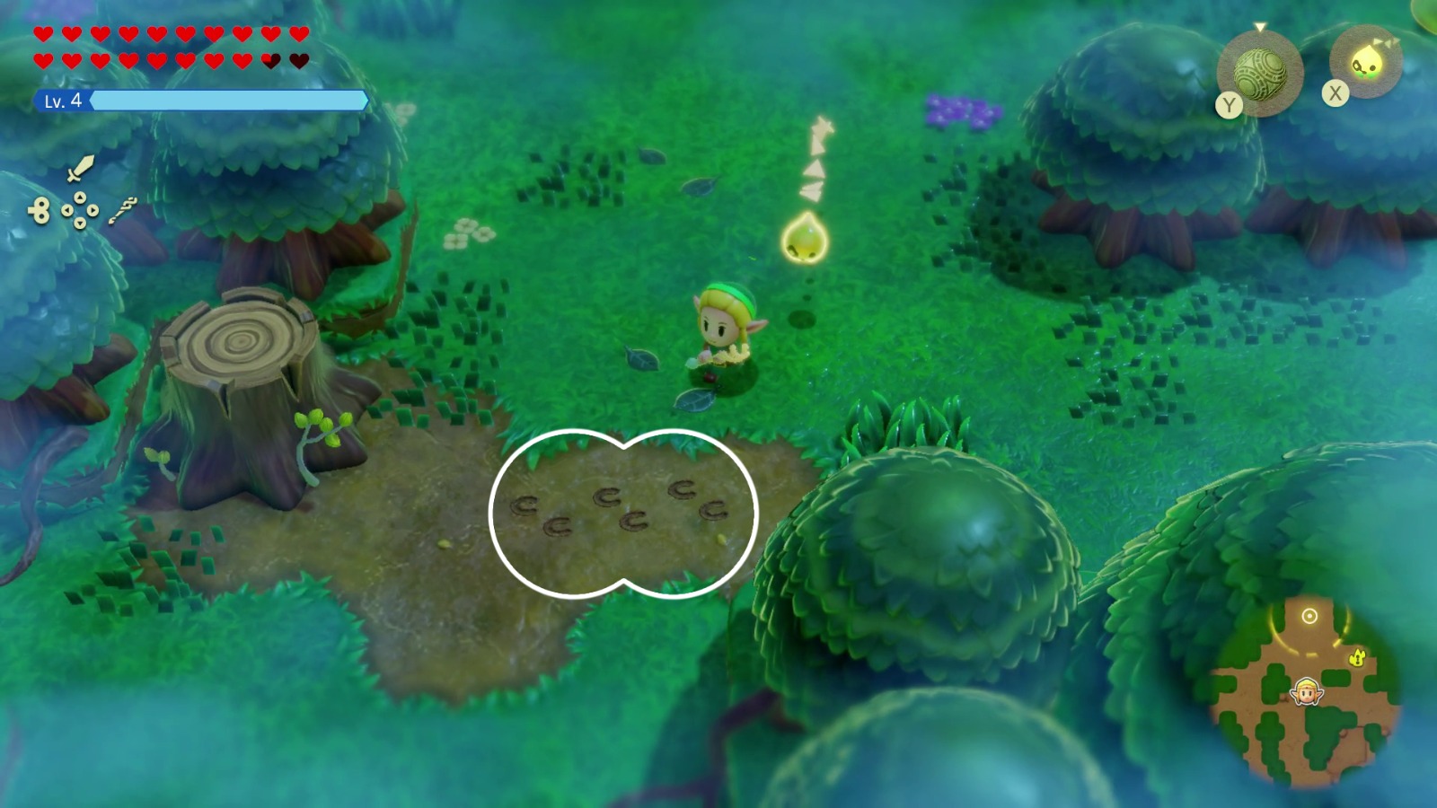 The Prime Energy and Null - The Legend of Zelda: Echoes of Wisdom ...