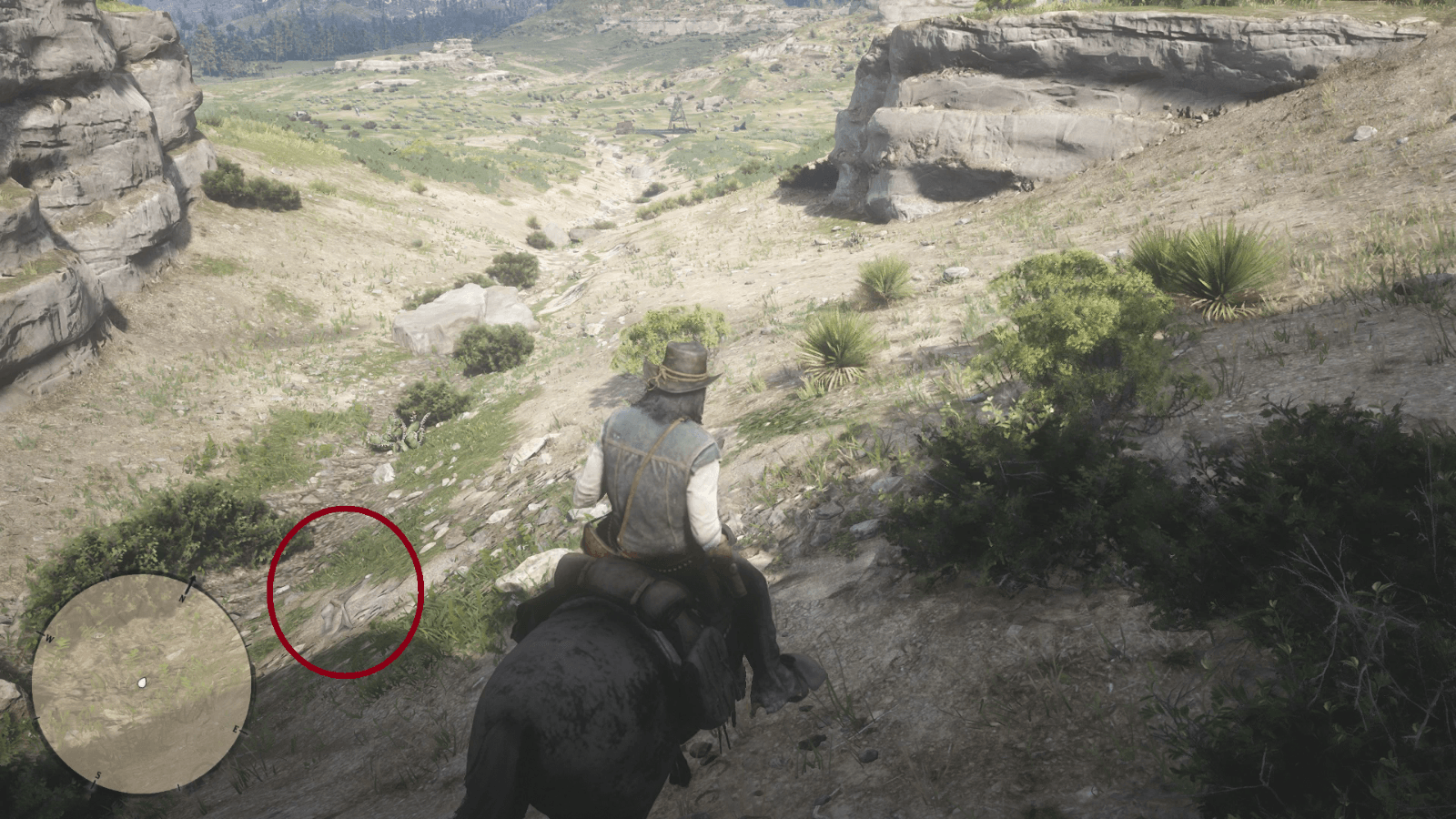 Dinosaur Bones Collectibles - Red Dead Redemption 2 Walkthrough - Neoseeker