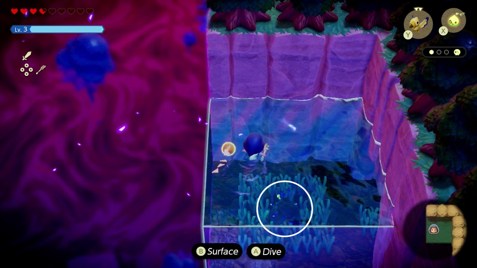 Optional Rift: Stilled Lake Hylia - The Legend of Zelda: Echoes of ...