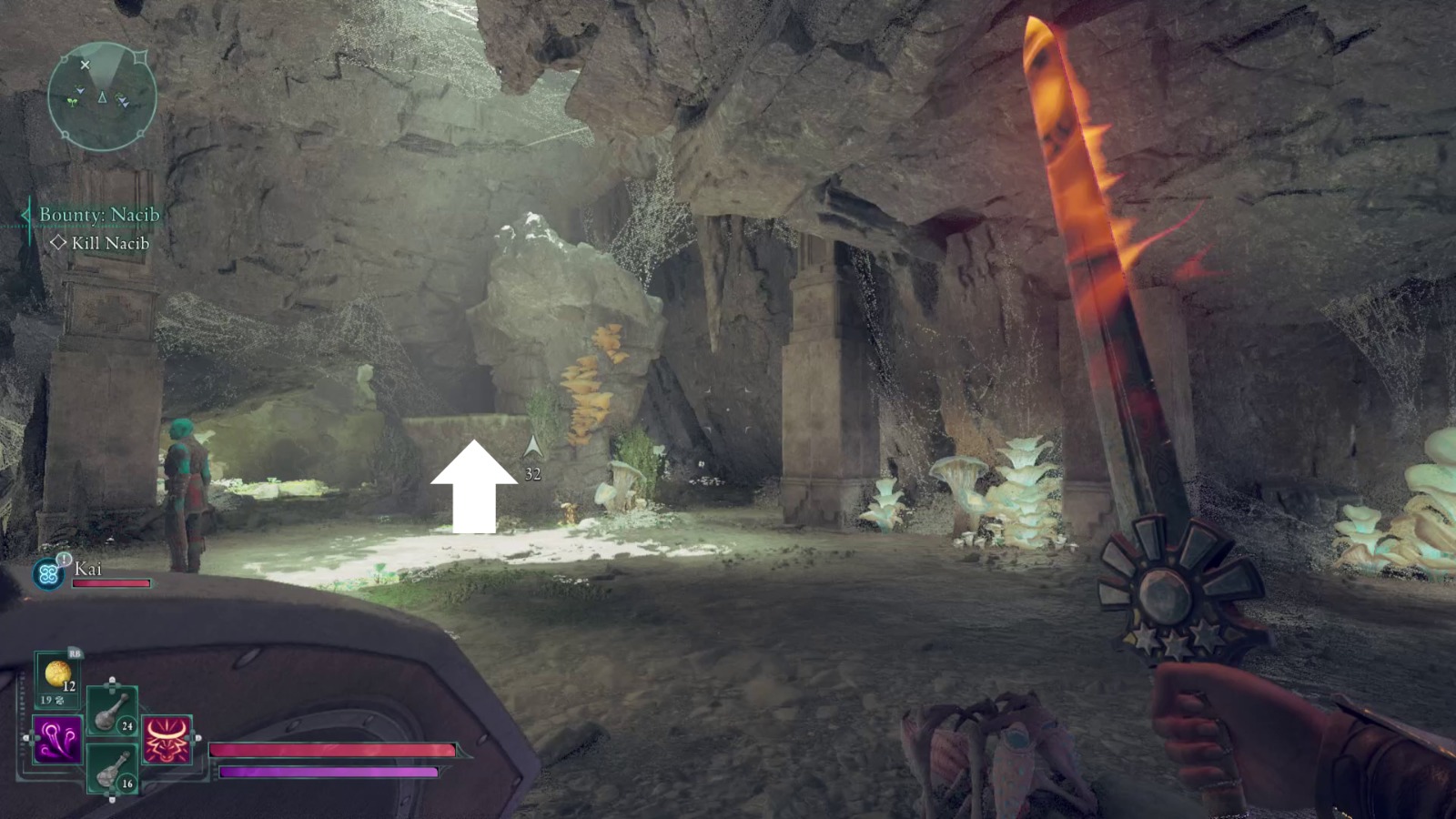 Avowed - Bounty: Nacib Walkthrough - Neoseeker