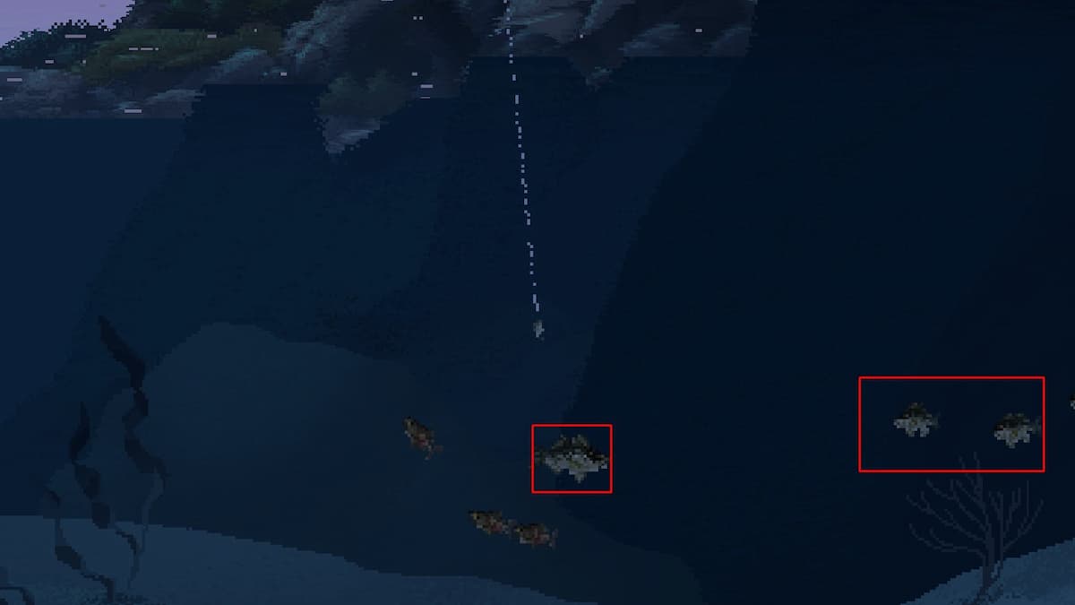 Cast n Chill Seals Rest Fishing Guide - Neoseeker