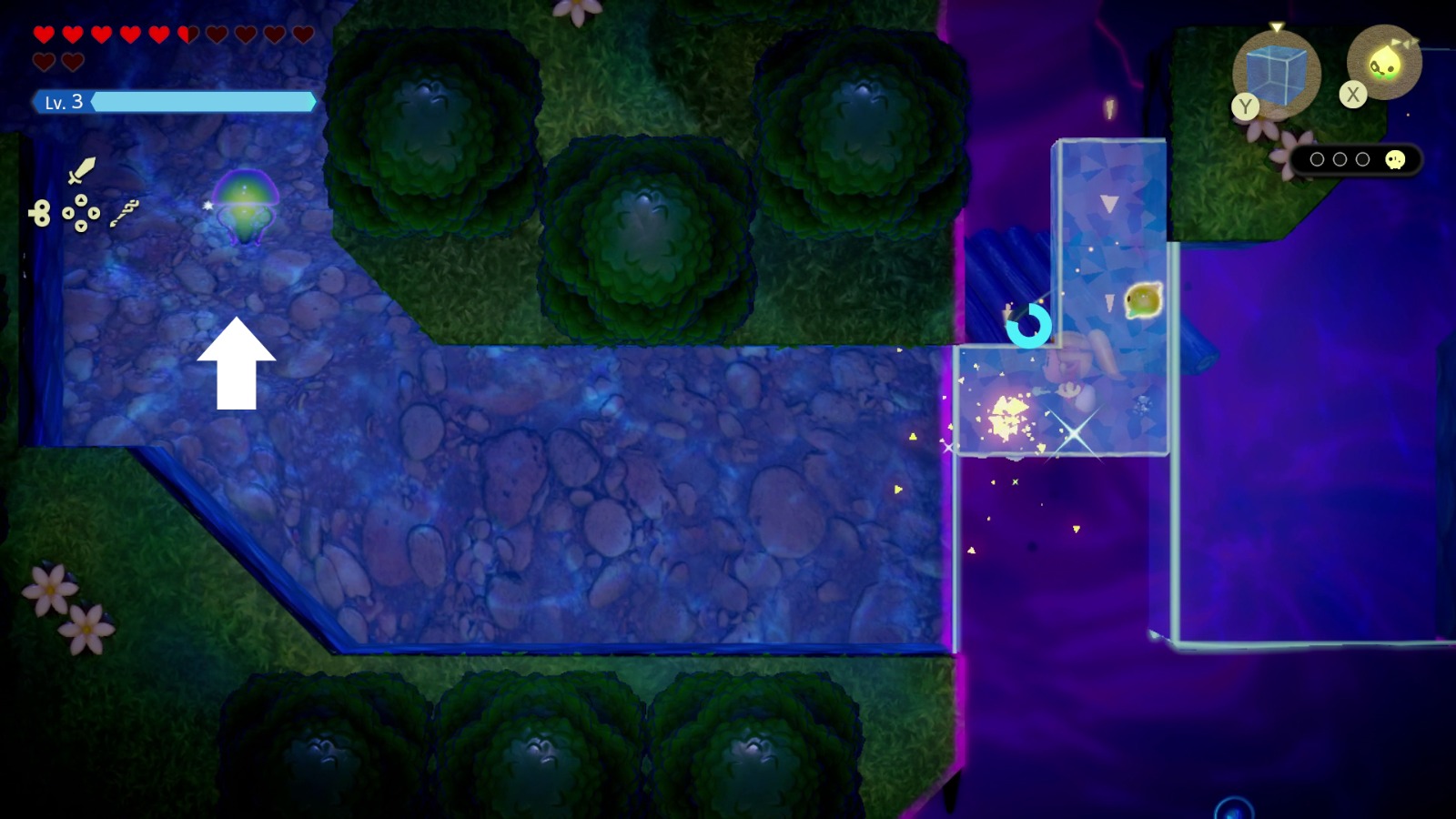 Optional Rift: Stilled Eastern Zora River - The Legend of Zelda: Echoes ...