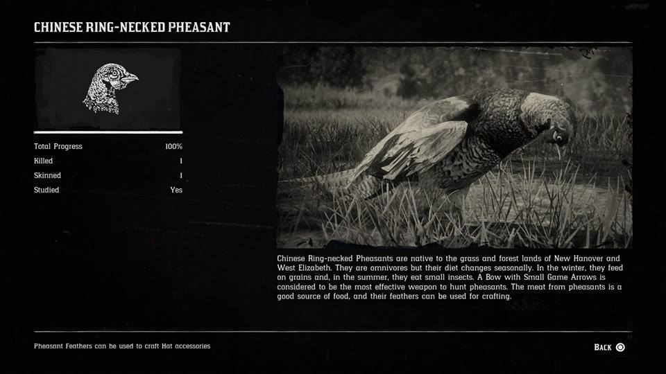 Hunting Page 7 - Red Dead Redemption 2 Walkthrough - Neoseeker