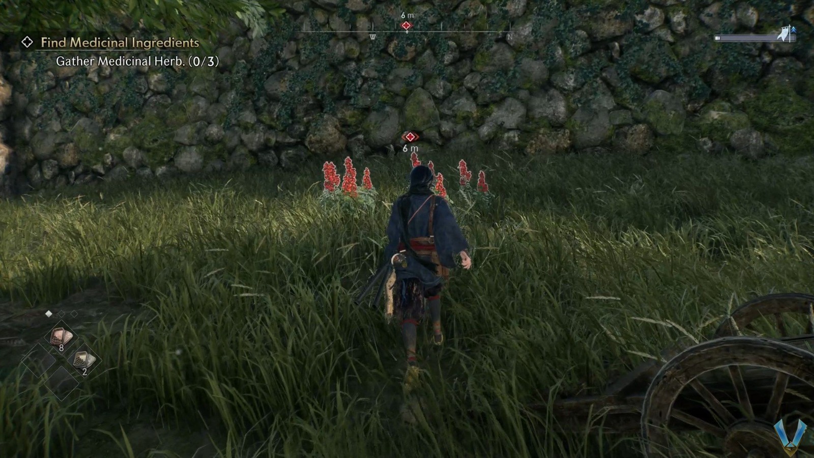 Grass Roots Mission - Find Medicinal Ingredients - Rise of the Ronin ...