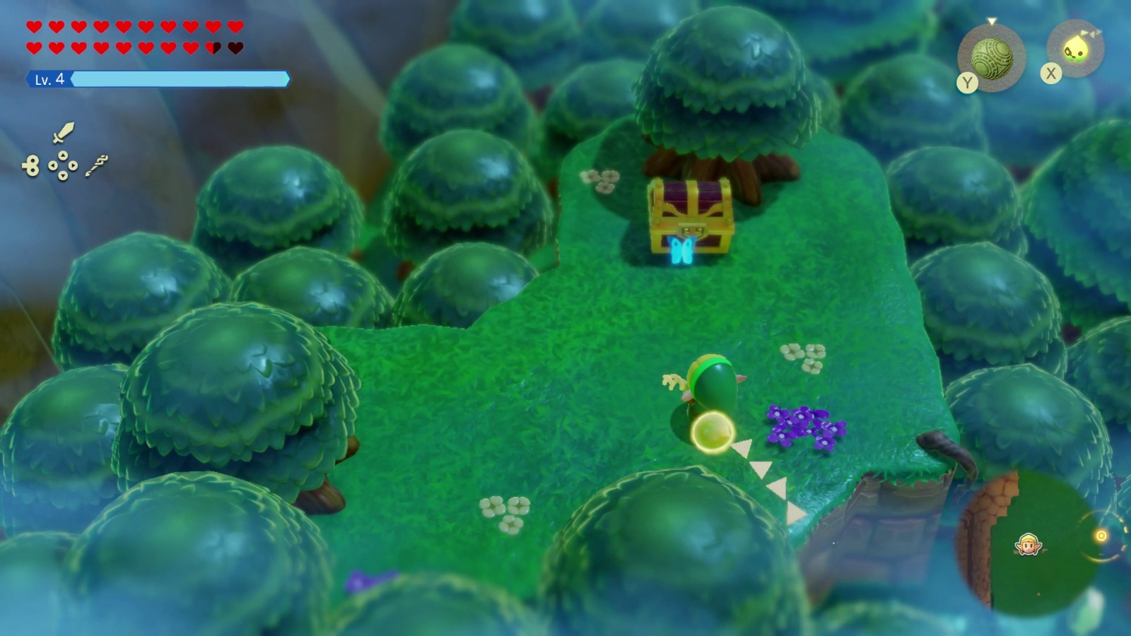 The Prime Energy and Null - The Legend of Zelda: Echoes of Wisdom ...