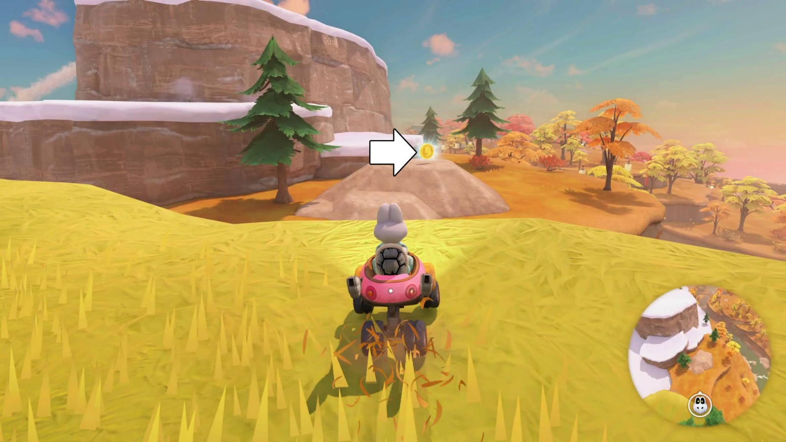 Mario Kart World - All Dandelion Depths Region Peach Medallions - Neoseeker