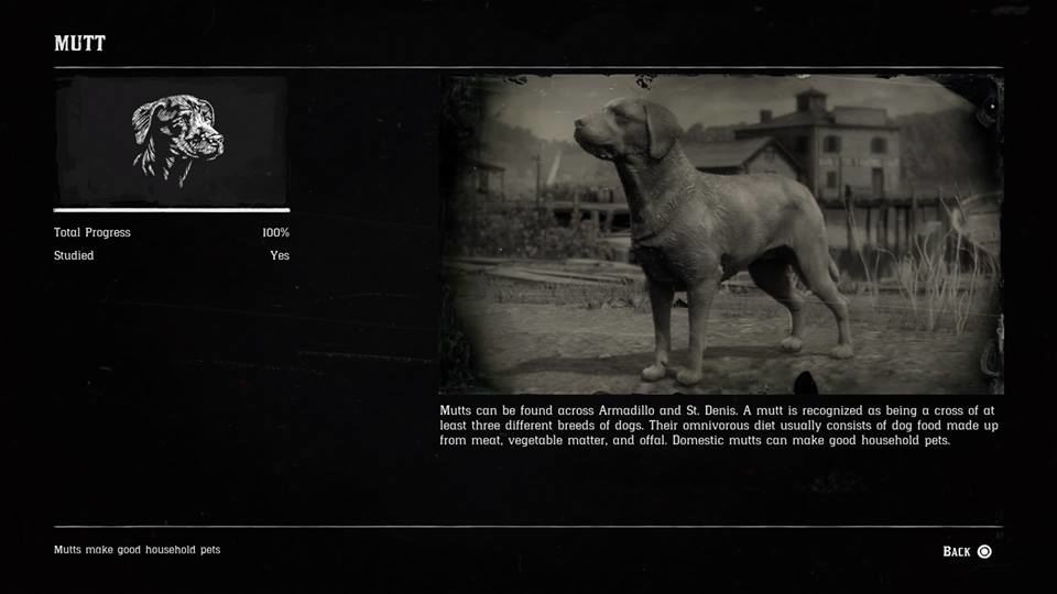 Hunting Page 4 - Red Dead Redemption 2 Walkthrough - Neoseeker