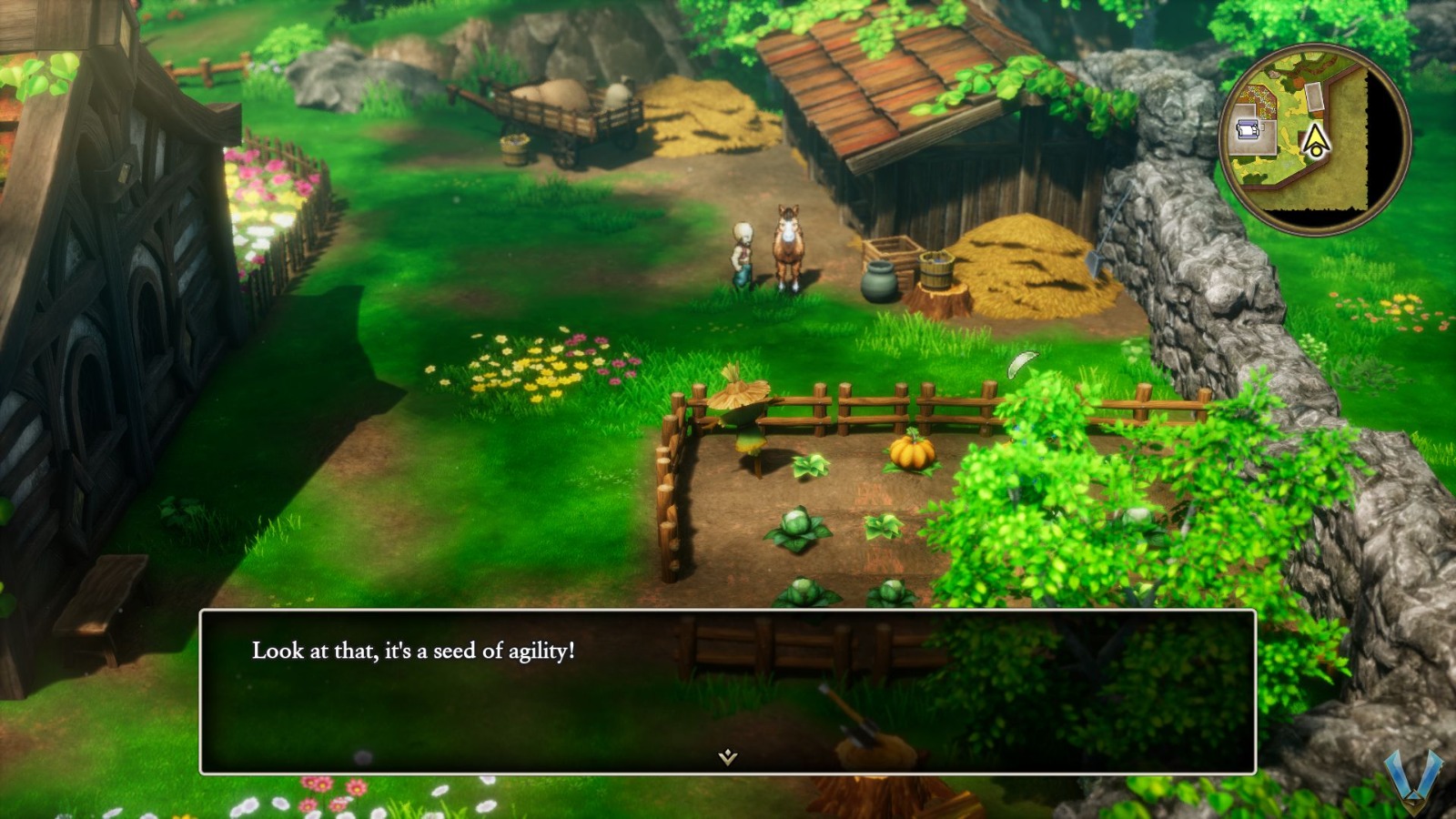 All Stat Seed Locations - Dragon Quest II HD-2D Remake Walkthrough ...