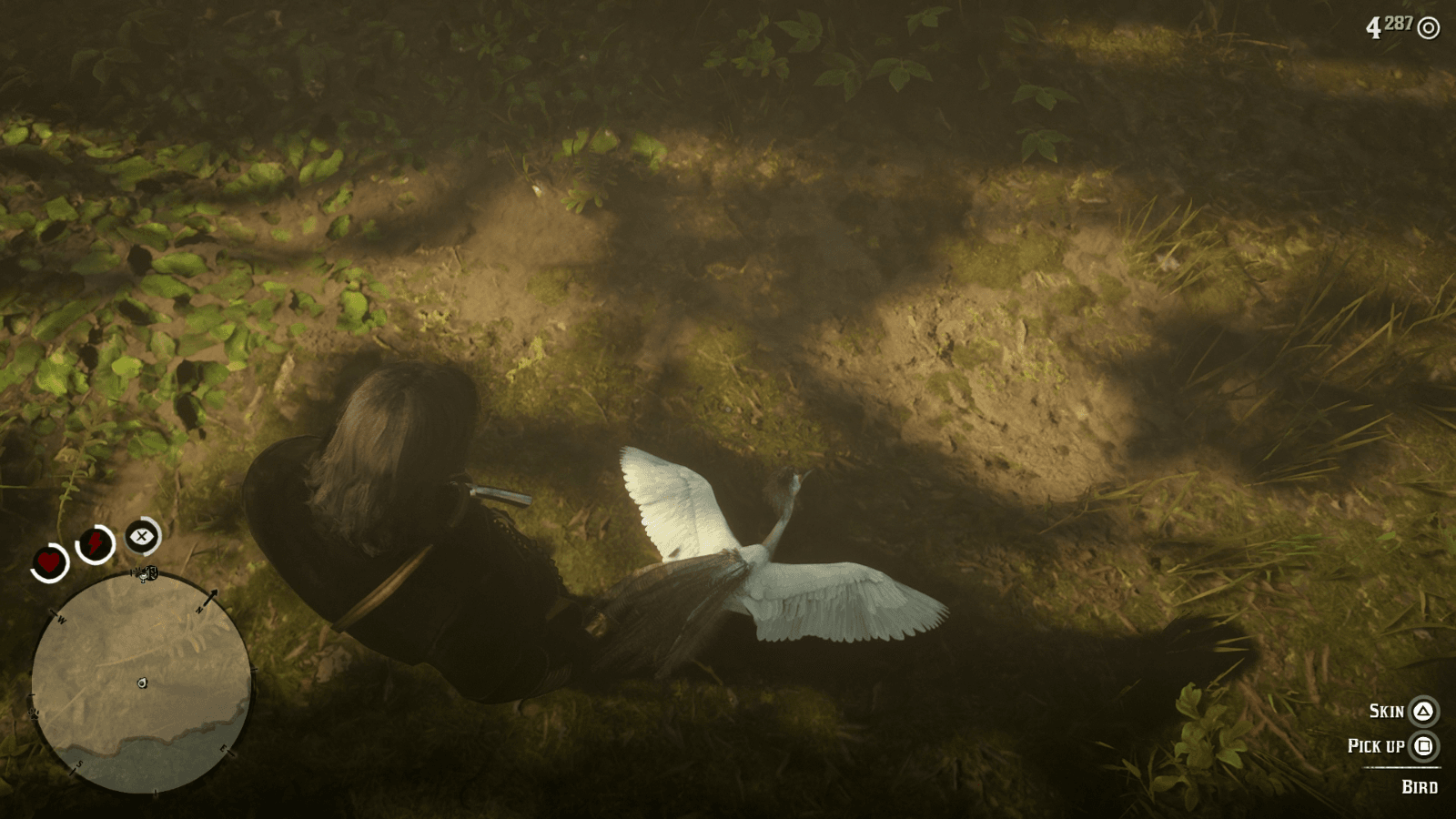 Duchesses and other Animals (Exotics) Walkthrough - Red Dead Redemption ...