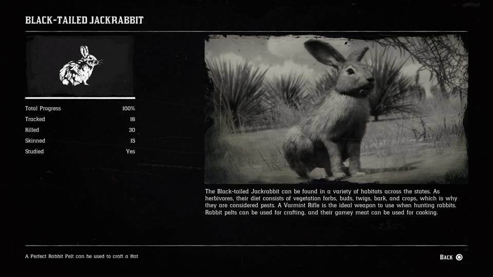 Hunting Page 8 - Red Dead Redemption 2 Walkthrough - Neoseeker