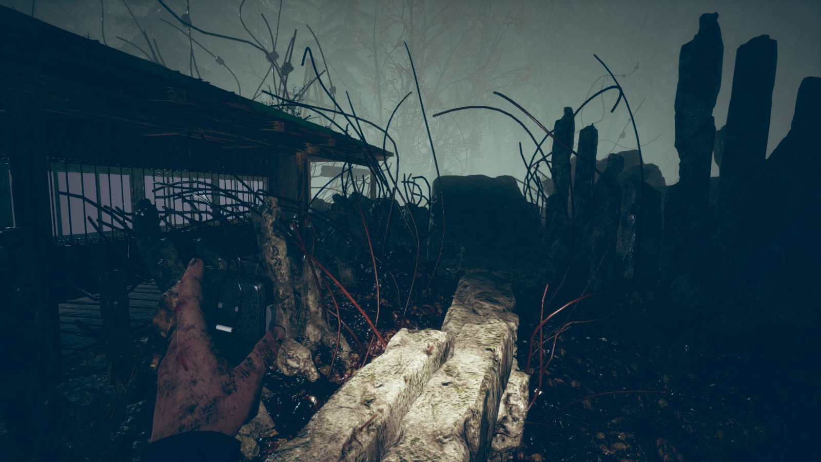 Chapter 3 The Camp - Someday You'll Return Walkthrough - Neoseeker