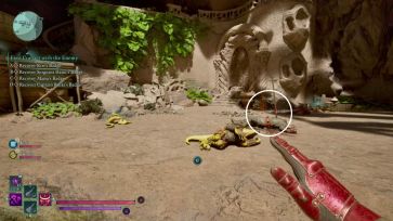 First Contact with the Enemy - Avowed Walkthrough - Neoseeker