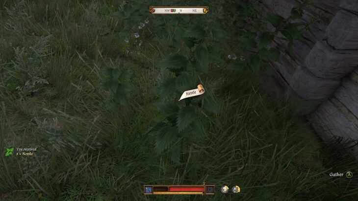Where To Find Nettle Guide - Kingdom Come: Deliverance II - Neoseeker