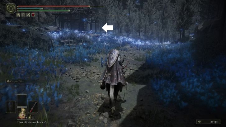 Shadow of the Erdtree - Finger Ruins of Rhia Walkthrough - Elden Ring ...