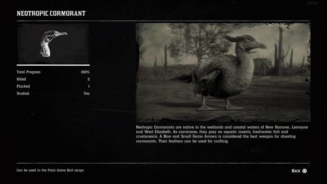 Hunting Page 3 - Red Dead Redemption 2 Walkthrough - Neoseeker