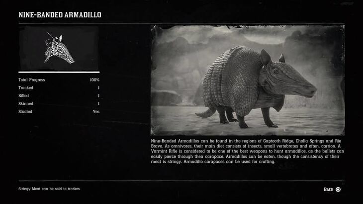 Hunting Page 1 - Red Dead Redemption 2 Walkthrough - Neoseeker