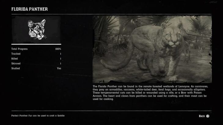 Hunting Page 7 - Red Dead Redemption 2 Walkthrough - Neoseeker