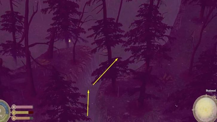 How to Complete The Hag of Bleakwood Quest - Mirthwood Walkthrough ...