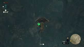 Tulin of Rito Village - The Legend of Zelda: Tears of the Kingdom ...