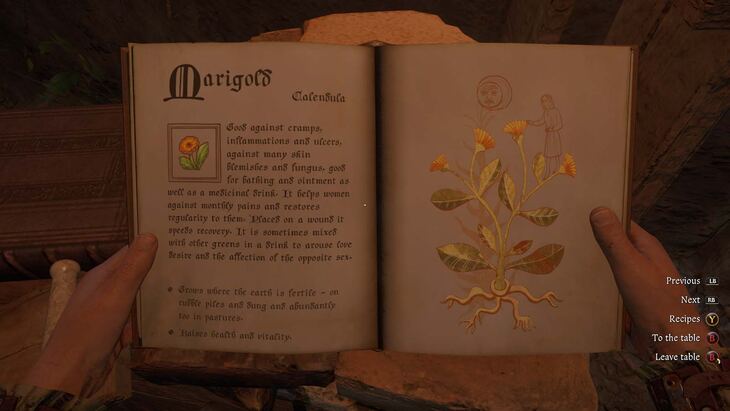 Where To Find Marigold Guide - Kingdom Come: Deliverance II - Neoseeker