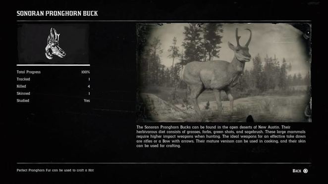 Hunting Page 8 - Red Dead Redemption 2 Walkthrough - Neoseeker
