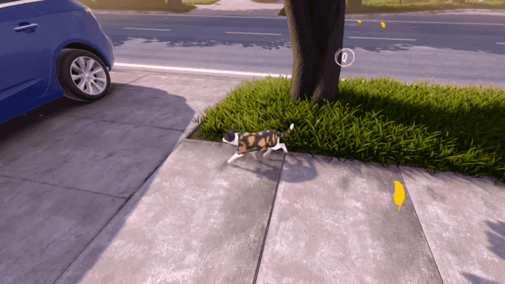 How to Catch a Bird - Copycat (2024) Walkthrough - Neoseeker