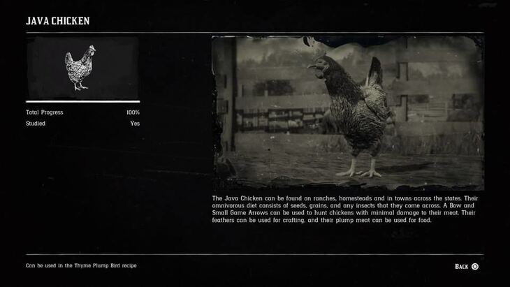 Hunting Page 2 - Red Dead Redemption 2 Walkthrough - Neoseeker
