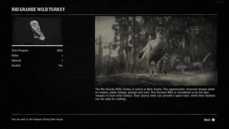 Flight feather rdr2 - Xalam.blog