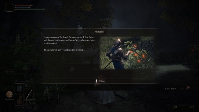 Stranded Graveyard - Elden Ring Walkthrough - Neoseeker