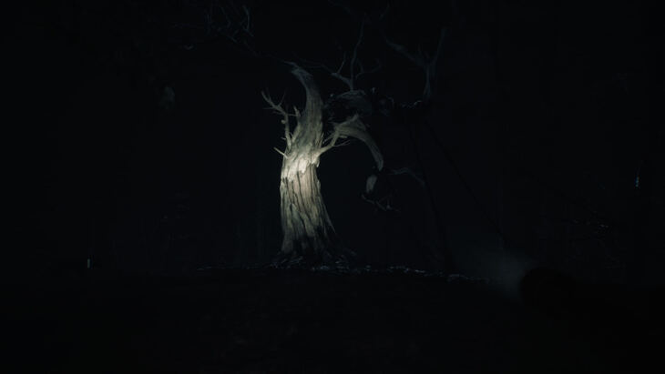 Blair Witch - Chapter 4 Guide - Blair Witch (2019) - Neoseeker