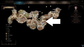 Baldur's Gate 3 - Help the Hag Survivors Walkthrough - Neoseeker