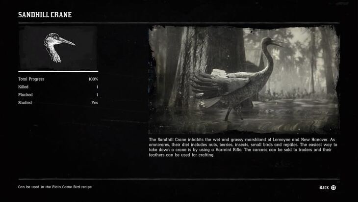 Hunting Page 3 - Red Dead Redemption 2 Walkthrough - Neoseeker