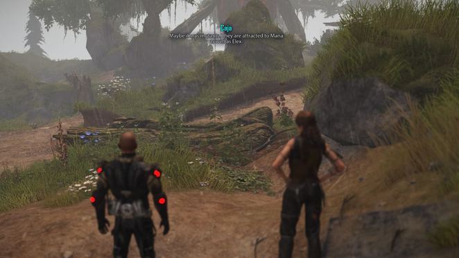 Chosen - Elex Walkthrough - Neoseeker