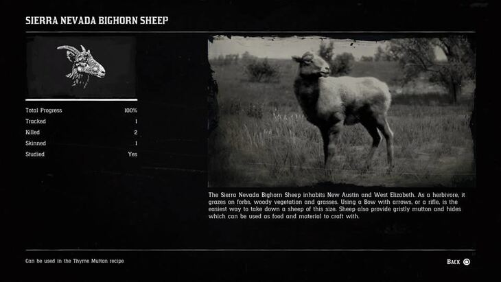 Hunting Page 8 - Red Dead Redemption 2 Walkthrough - Neoseeker