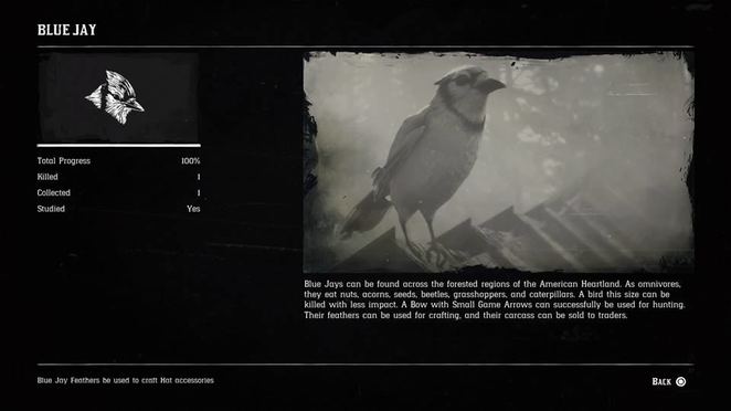 Hunting Page 1 - Red Dead Redemption 2 Walkthrough - Neoseeker