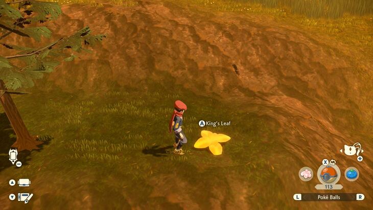 The Perfect Pickle Recipe Request Guide - Pokémon Legends: Arceus ...