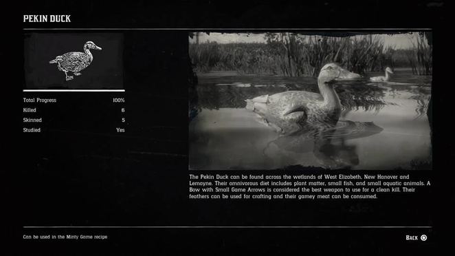 Hunting Page 4 - Red Dead Redemption 2 Walkthrough - Neoseeker