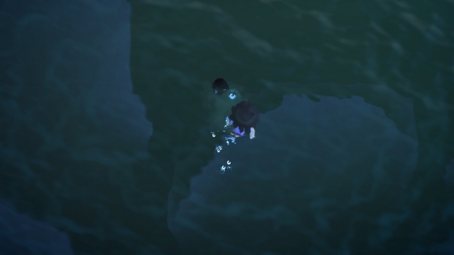 Sea Creatures - Animal Crossing: New Horizons Walkthrough - Neoseeker