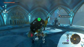 Tears of the Kingdom - Glory of the Zora Walkthrough - The Legend of ...