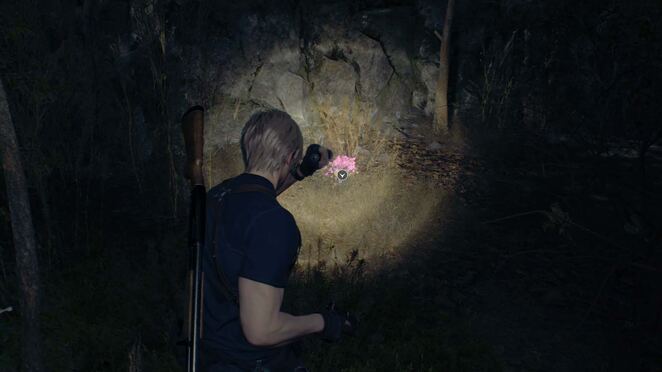 Chapter 4 Guide - Resident Evil 4 Remake (2023) - Neoseeker