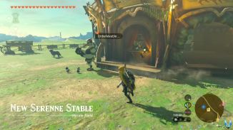 Tears of the Kingdom - The Beast and the Princess Walkthrough - The ...