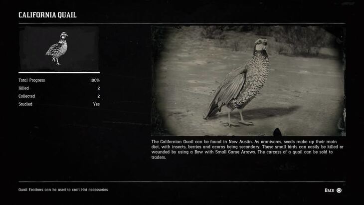 Hunting Page 8 - Red Dead Redemption 2 Walkthrough - Neoseeker