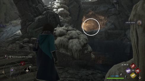 Phoenix Rising - Hogwarts Legacy Walkthrough - Neoseeker