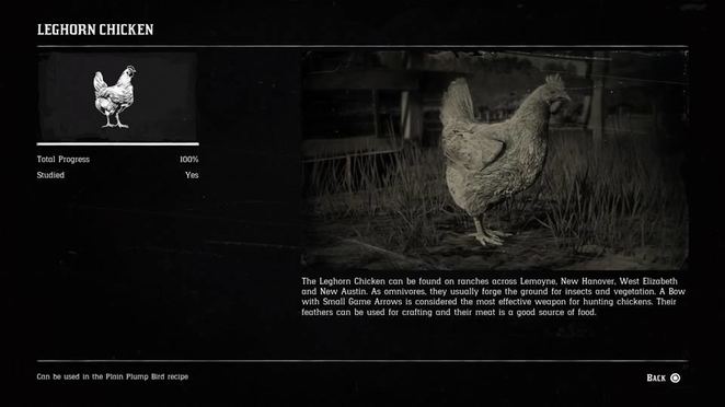 Hunting Page 2 - Red Dead Redemption 2 Walkthrough - Neoseeker