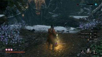 Walkthrough: The Great Serpent - Sekiro: Shadows Die Twice - Neoseeker