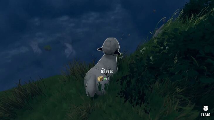 Aloft Animal Husbandry Guide - Neoseeker