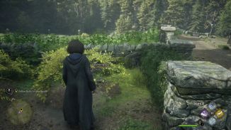 Welcome to Hogsmeade - Hogwarts Legacy Walkthrough - Neoseeker