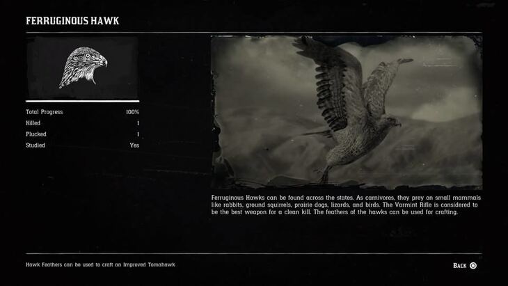 Hunting Page 5 - Red Dead Redemption 2 Walkthrough - Neoseeker