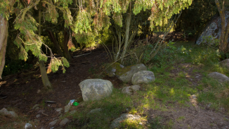 The Pluto Bird Tower - The Birdwatcher Walkthrough - Neoseeker