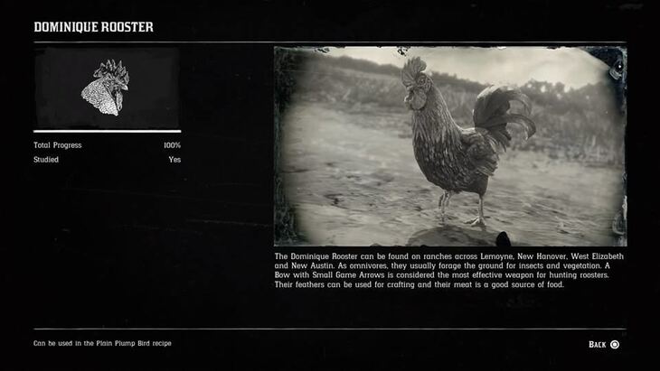 Hunting Page 2 - Red Dead Redemption 2 Walkthrough - Neoseeker